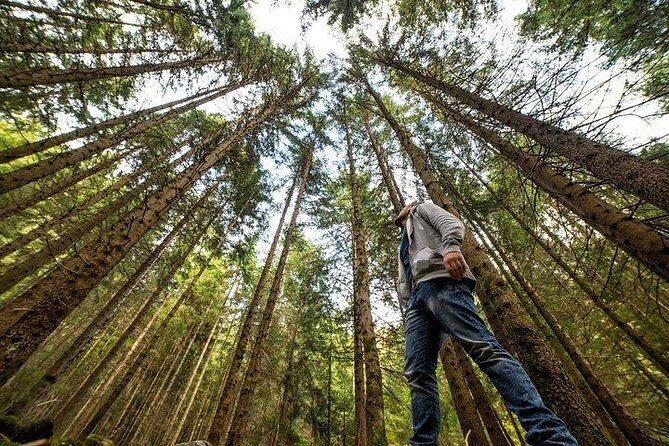 From San Francisco: Alcatraz Island & Guided Muir Woods Tour - The Sum Up