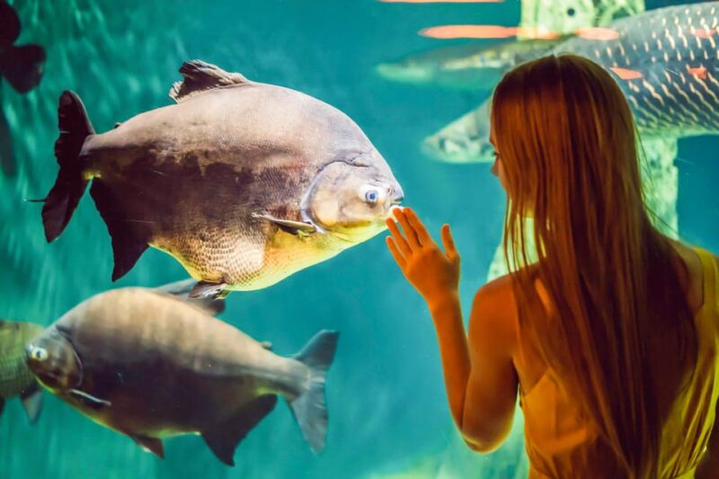 From San Francisco: Alcatraz Night Tour, Muir Woods and Wine - Who Is This Tour Best Suited For?