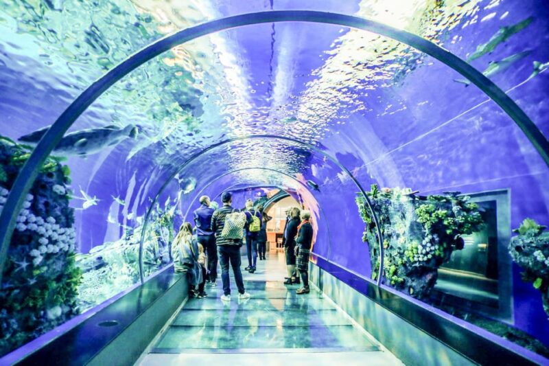 From San Francisco: Alcatraz Night Tour, Muir Woods and Wine - Final Thoughts