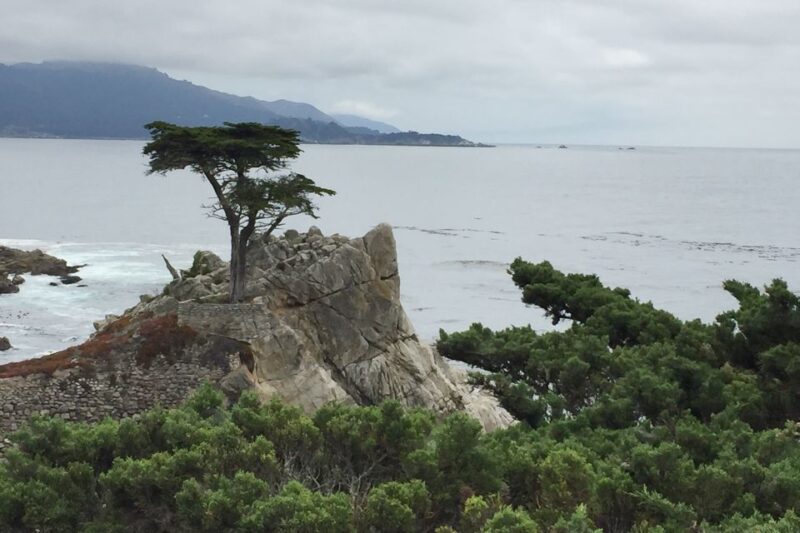 From San Francisco: Carmel, Monterey & Big Sur Private Tour - The Itinerary — What You Can Expect