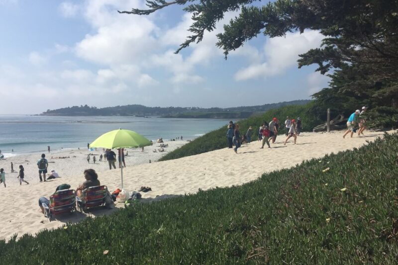 From San Francisco: Carmel, Monterey & Big Sur Private Tour - The Downside — What to Consider