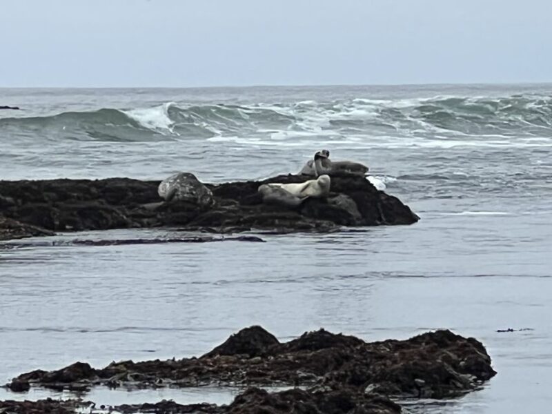 From San Francisco: Carmel, Monterey & Big Sur Private Tour - Final Thoughts — Is It Worth It?