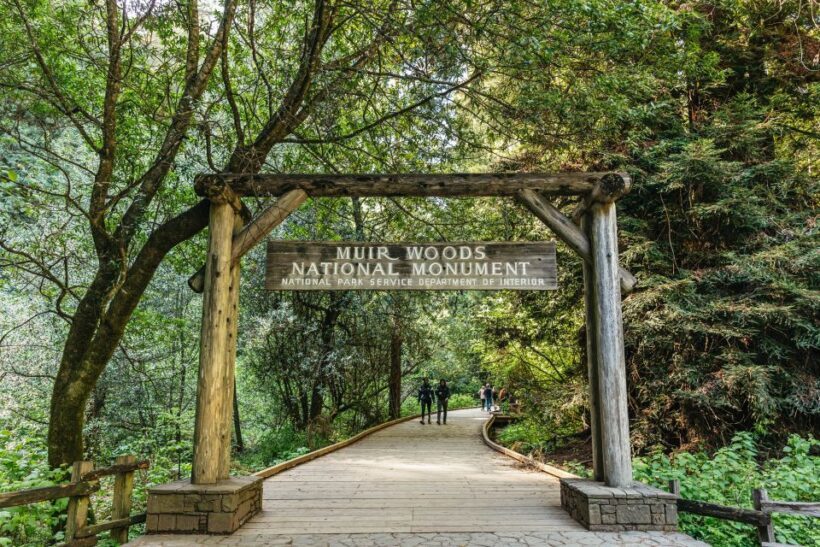 From San Francisco: Guided Muir Woods Tour - Key Points