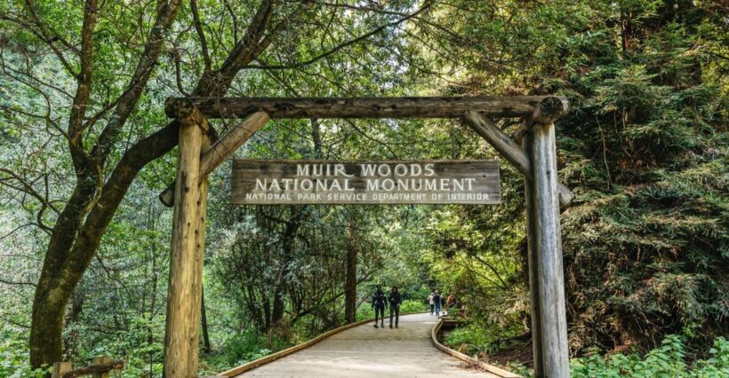 From San Francisco: Guided Muir Woods Tour - Authentic Experiences and Practical Advice from Travelers