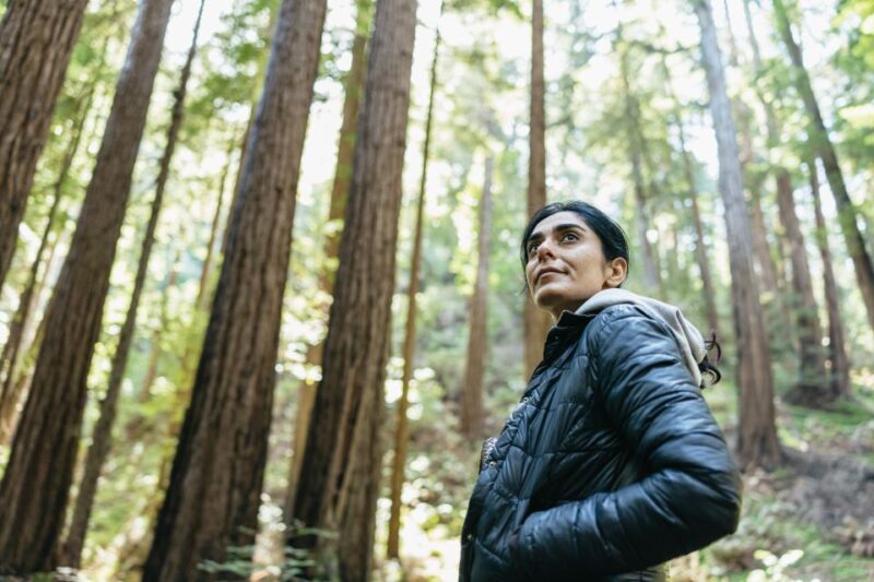 From San Francisco: Guided Muir Woods Tour - Insights from Travelers