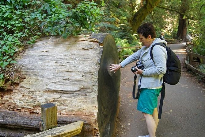 From San Francisco: Guided Tour to Muir Woods Coastal Redwoods - Frequently Asked Questions
