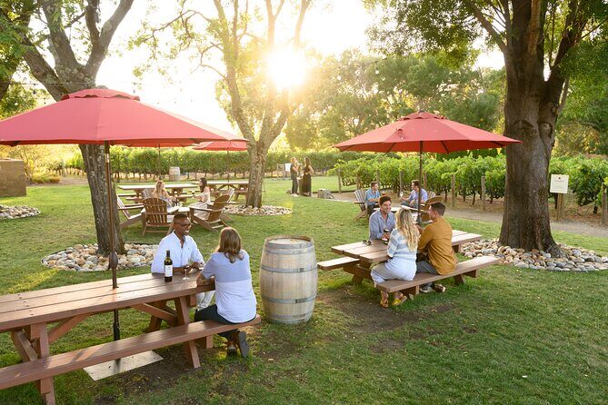 From San Francisco: Half-Day Wine Aficionado Tour with Tastings - A Detailed Look at the Experience