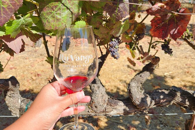 From San Francisco: Half-Day Wine Country Tour with Tastings - Authentic Experiences and Reviewer Insights