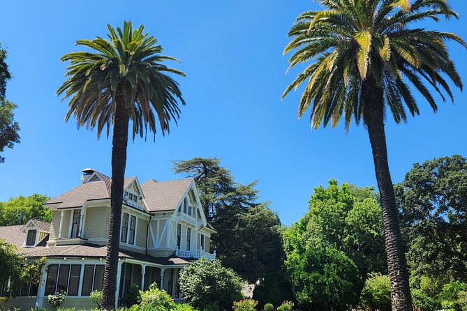 From San Francisco: Half-Day Wine Country Tour with Tastings - Practical Tips