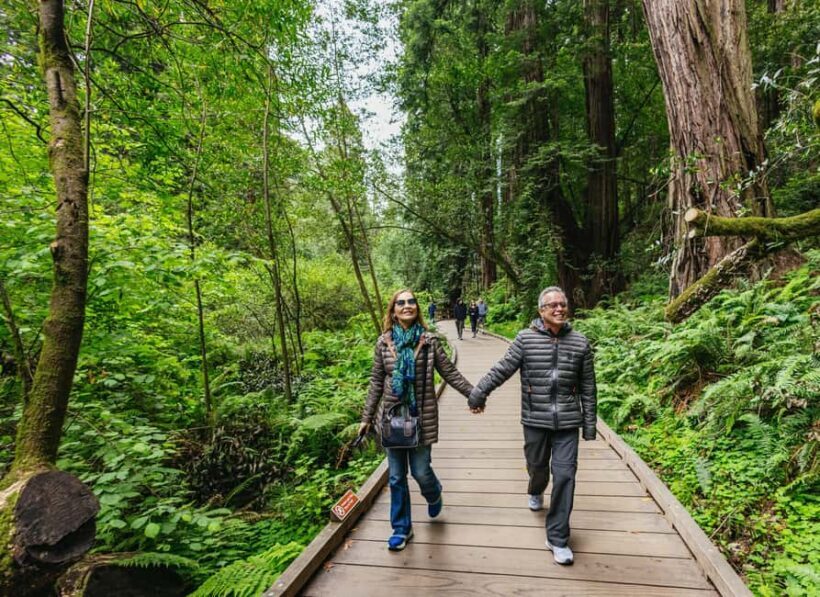 From San Francisco: Muir Woods, Sausalito and Alcatraz Tour - What This Tour Offers
