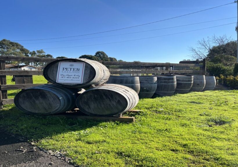 From San Francisco: Napa and Sonoma Private Wine Tour - Who Will Enjoy This Tour?