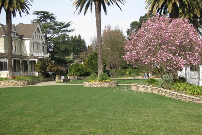 From San Francisco: Napa & Sonoma Valley Full-Day Wine Tour - Practical Details & Tips