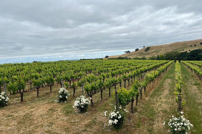 From San Francisco: Napa & Sonoma Valley Wine Tour with Tastings - FAQs