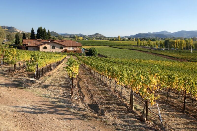 From San Francisco: Napa Valley Private Tour - The Experience From Start to Finish