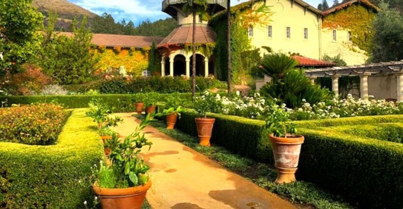From San Francisco: Private Muir Woods and Napa Wine Tour - Exploring the Itinerary: What to Expect