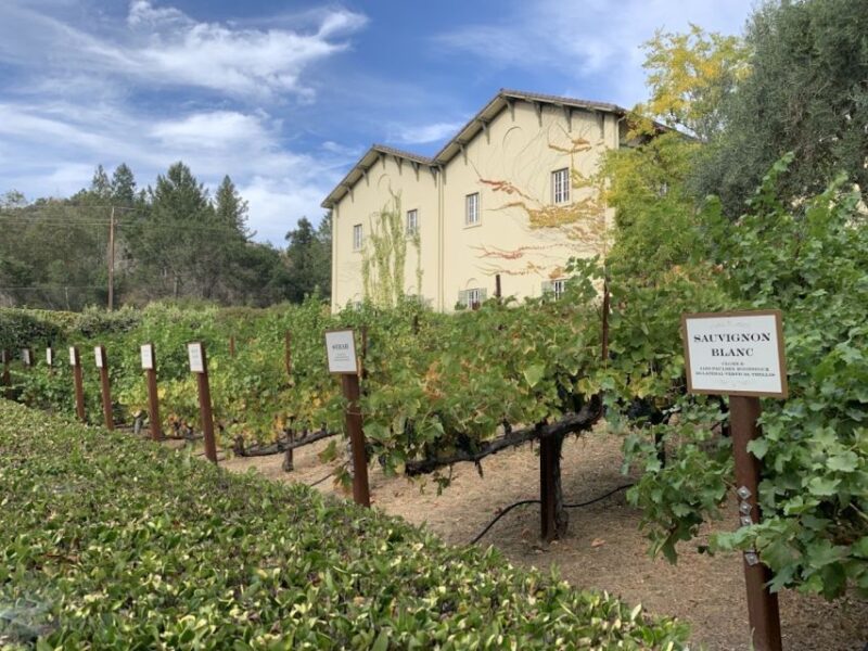 From San Francisco: Private Muir Woods and Napa Wine Tour - The Practicalities and Pricing