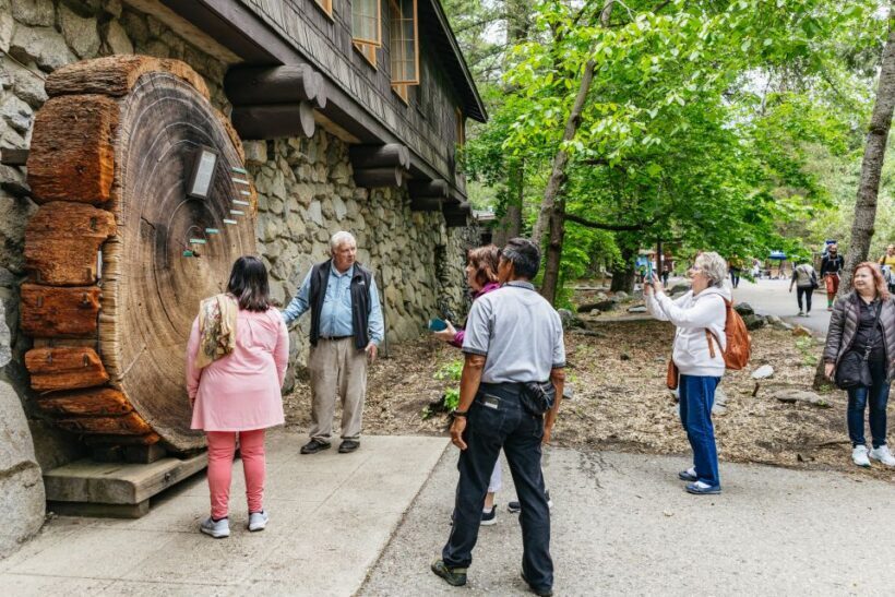 From San Francisco: Yosemite National Park Guided Day Trip - FAQ