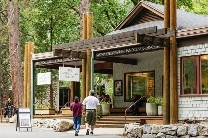 From San Francisco: Yosemite National Park Guided Day Trip - The Guided Tour and Free Time