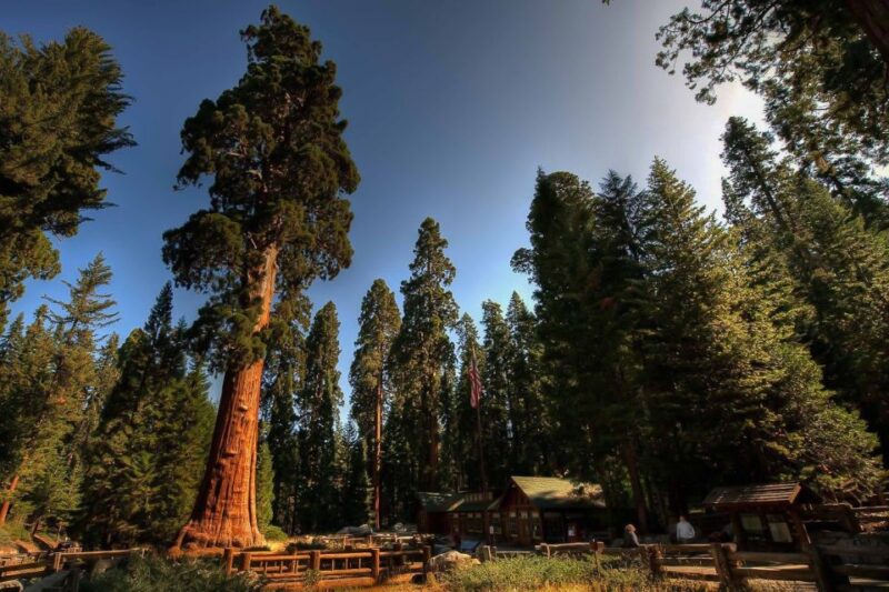 From San Francisco: Yosemite Private Full-Day Trip - Who Will Love This Tour?