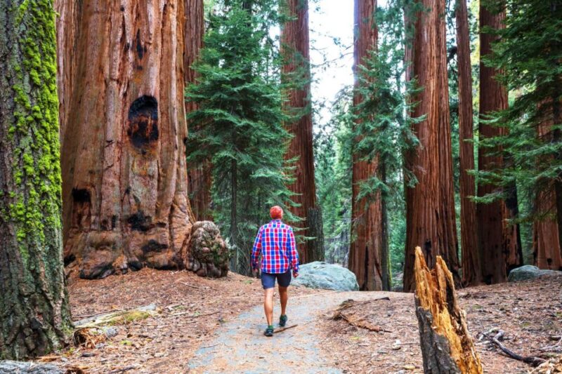 From San Francisco: Yosemite & Tahoe Sierras 4-Day Trip - Key Points