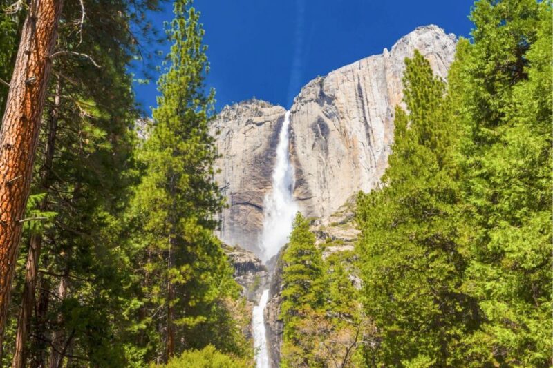From San Francisco: Yosemite & Tahoe Sierras 4-Day Trip - Final Thoughts: Who Is This Tour Best For?