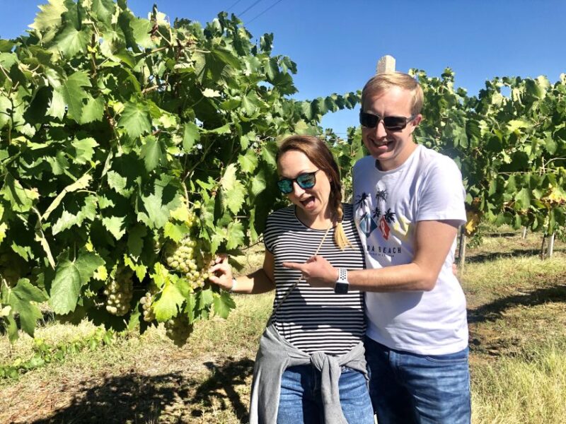 From San Gimignano: Chianti Half-Day Vespa Tour with Lunch - FAQ