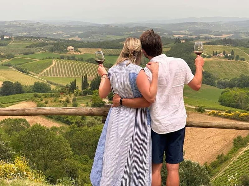 From San Gimignano: Half-Day Chianti Wine tour - An Overview of the Experience