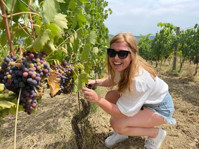 From San Gimignano: Half-Day Chianti Wine tour - Final Thoughts