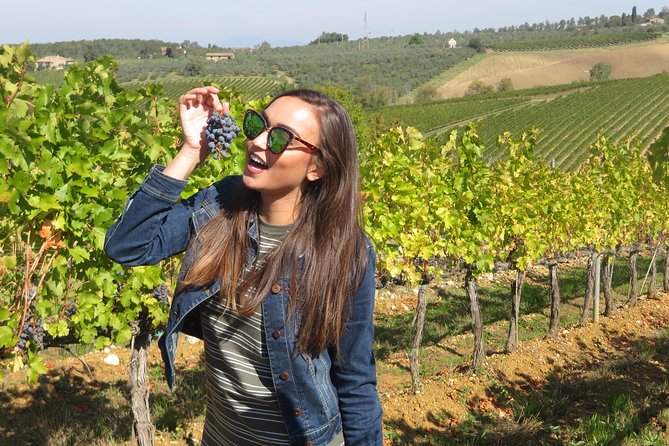 From San Gimignano: Half Day Tuscany Wine Tour With 2 Wineries - Inclusions