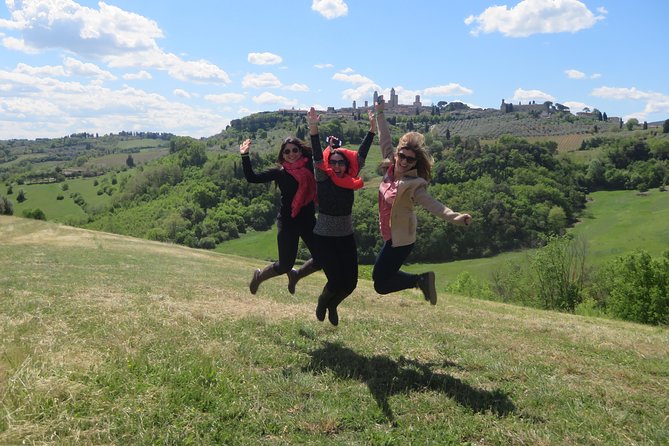 From San Gimignano: Half Day Tuscany Wine Tour With 2 Wineries - Discovering the Chianti Wine Region
