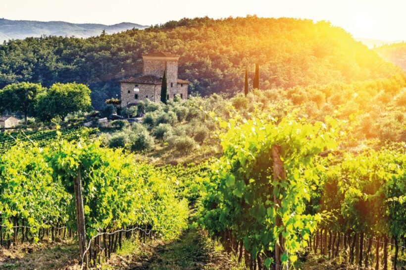 From San Gimignano: Vespa Tour in Chianti - Who Will Love This Tour?