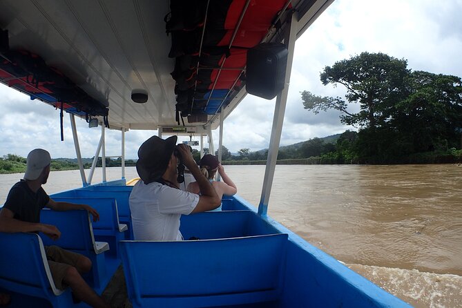 From San José: Carara National Park and Tárcoles River Tour - A Day of Birdwatching and Wildlife Observations