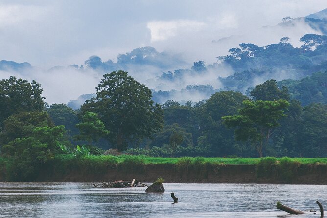From San José: Carara National Park and Tárcoles River Tour - Boat Tour on the Tárcoles River