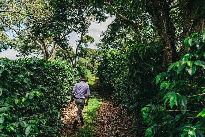 From San José: Poás Volcano Crater, Coffee Tour and Breakfast - Meeting and Pickup Details