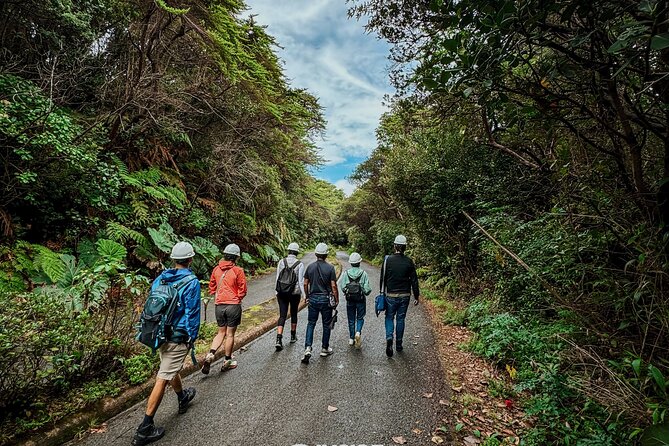 From San José: Poás Volcano Crater, Coffee Tour and Breakfast - Accessibility and Cancellation Policy