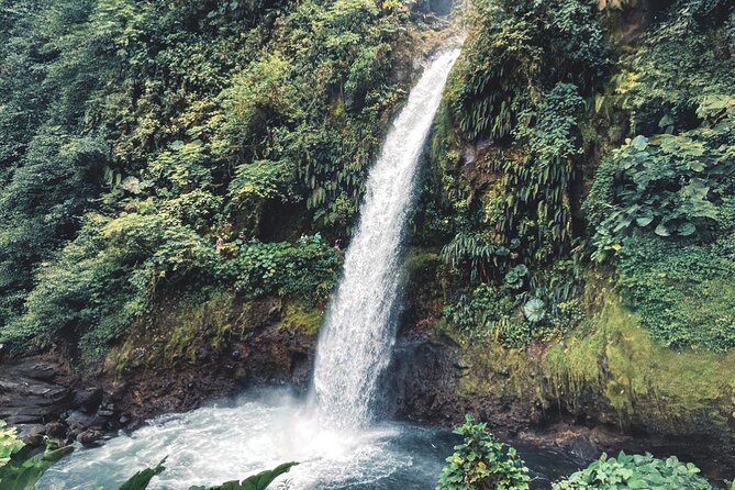 From San José: Poás Volcano Crater, Coffee Tour and Breakfast - Tour Capacity