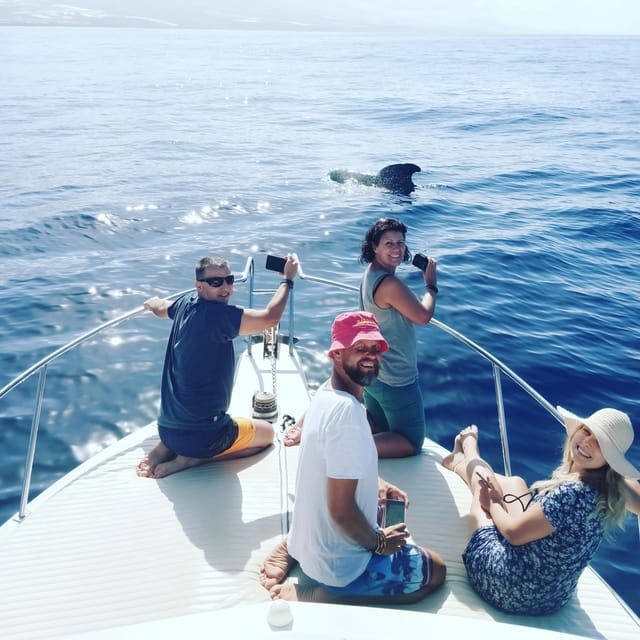 From San Juan beach : Marine Life Cruise - FAQ about the Marine Life Cruise from San Juan Beach