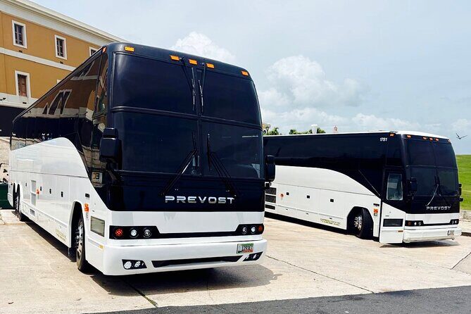 From San Juan: Roundtrip Shuttle to Bad Bunny Concert - From San Juan: Roundtrip Shuttle to Bad Bunny Concert – A Practical Guide for Fans