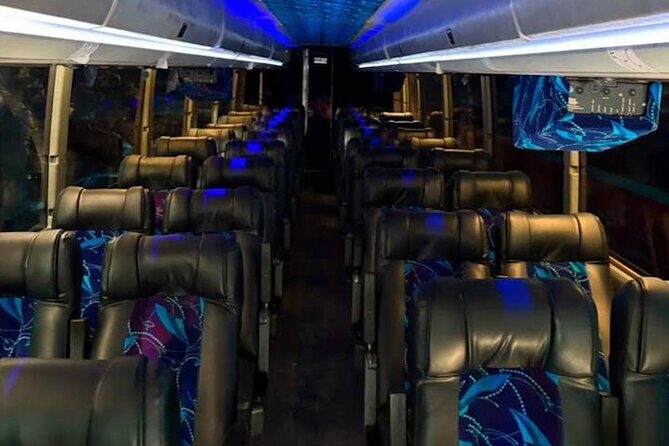 From San Juan: Roundtrip Shuttle to Bad Bunny Concert - A Detailed Look at the Experience