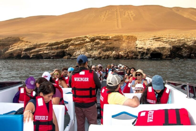 From San Martin Port: Ballestas Islands Tour in Paracas - The Experience in Detail
