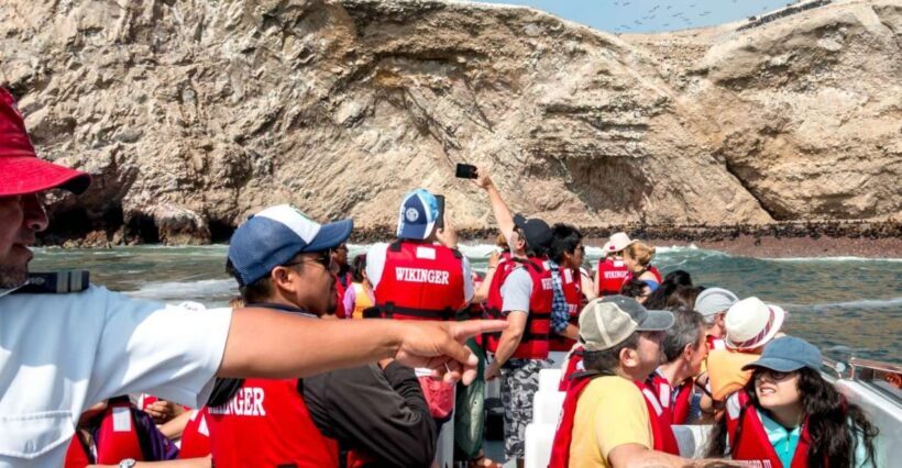 From San Martin Port: Ballestas Islands Tour in Paracas - The Sum Up