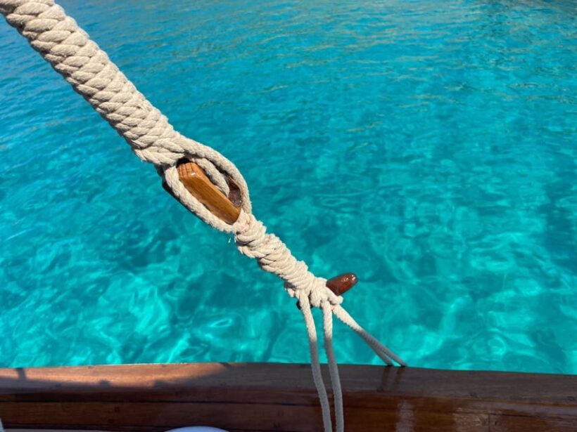 From San Paolo: Tavolara and Molara Island Cruise with Lunch - The Experience and Guides