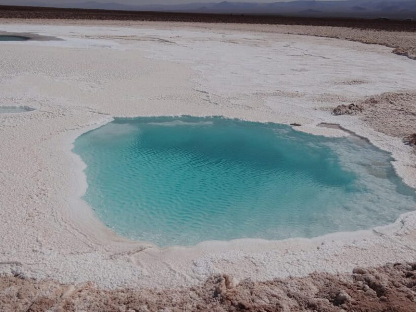 From San Pedro de Atacama: Hidden Lagoons of Baltinache - Practical Details and Value
