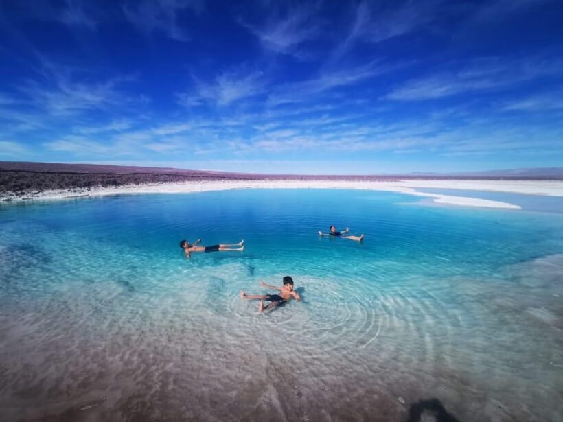From San Pedro de Atacama: Hidden Lagoons of Baltinache - Final Thoughts: Who Should Book This Tour?