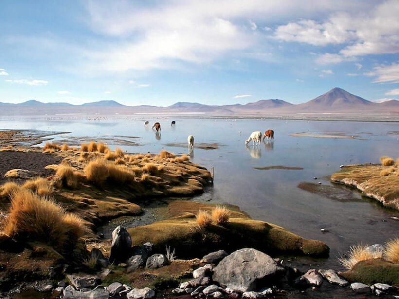 From San Pedro de Atacama to the Uyuni Salt Flats 4 Days - FAQ
