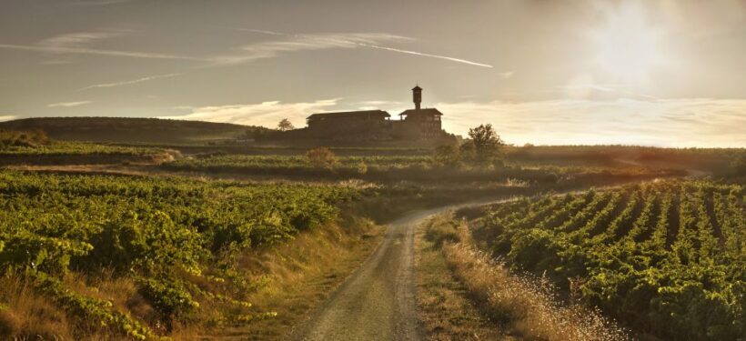 From San Sebastian/Bilbao/Vitoria: La Rioja Wineries Tour - The Experience from the Guide’s Perspective