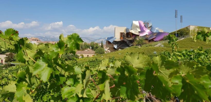 From San Sebastian/Bilbao/Vitoria: Rioja Wine Tour w/ Lunch - Why This Tour Stands Out