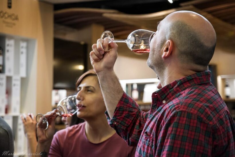 From San Sebastian/Bilbao/Vitoria: Rioja Wine Tour w/ Lunch - Who Should Consider This Tour?