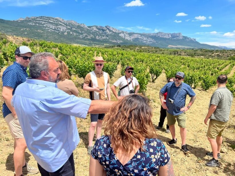 From San Sebastian/Bilbao/Vitoria: Rioja Wine Tour w/ Lunch - Final Thoughts