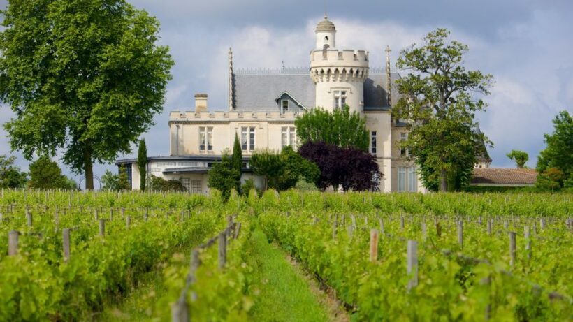 From San Sebastián: Bordeaux & Winery Private Guided Tour - Key Points